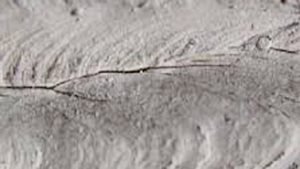 What Is Cold Cracking in Welding? Causes & Prevention - Welding Advise